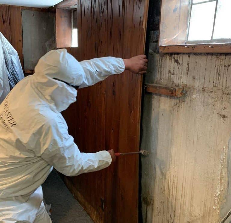 Mold Removal & Remediation Chicago, IL | ServiceMaster of Lake Shore