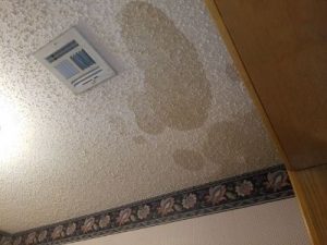 What To Do When a Frozen Pipe Bursts: A Complete Guide