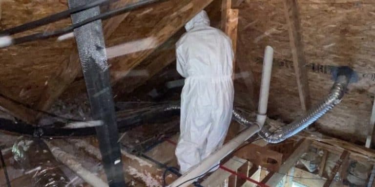 Attic Water Damage? Here's What to Do Right Now