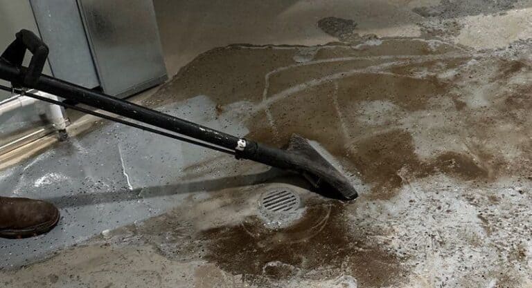 Basement Drain Backing Up? Here's What to Do Right Now | ServiceMaster