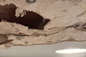 Washer Leaking from the Bottom in Your Chicago Home? Here’s How to Fix ...